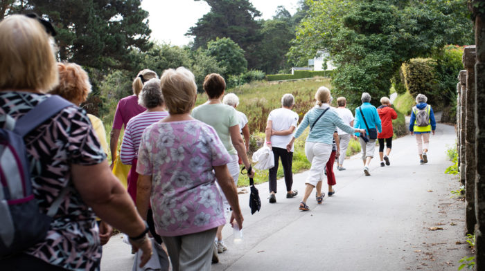 WALK MORE • Jersey Sport - Move More